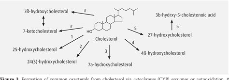 Figure 1 From Oxysterols And Their Metabolic Roles Beyond Cholesterol