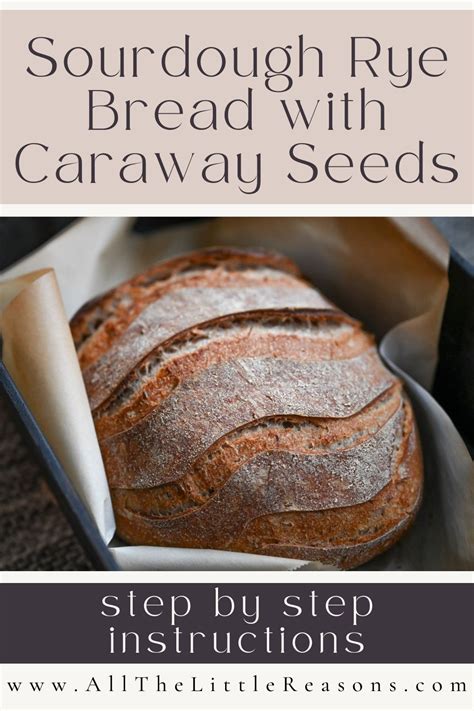 How To Make Easy Sourdough Rye Bread With Caraway Seeds Little Reasons