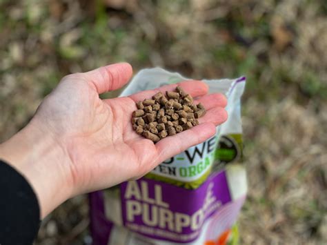 When To Fertilize Fig Trees A Complete Guide The Fruit Grove