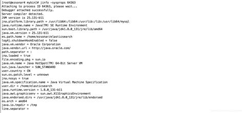 Jinfo的用法：java配置信息查看工具jinfo Process Not Responding Or Hotspot Vm Not
