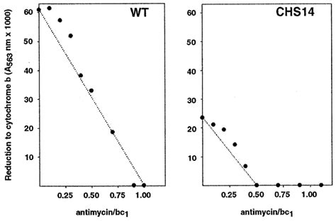 Inhibition Of The Pre Steady State Reduction Of Cytochrome B By