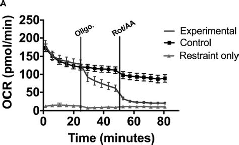 Oligomycin Lowers The D Melanogaster Larval Brain Ocr Levels To Reveal