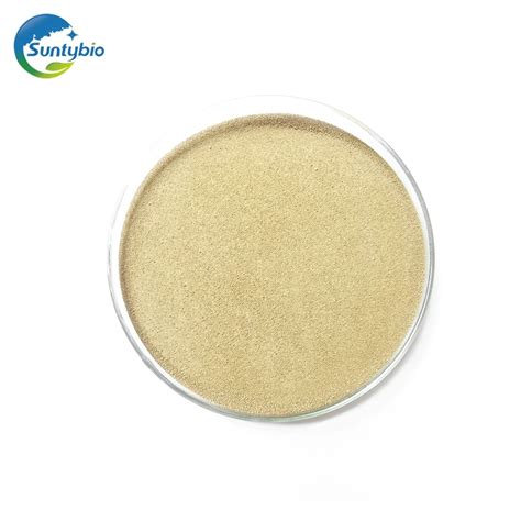 Bacillus Subtilis Use In Agriculture 2024 Top Sale