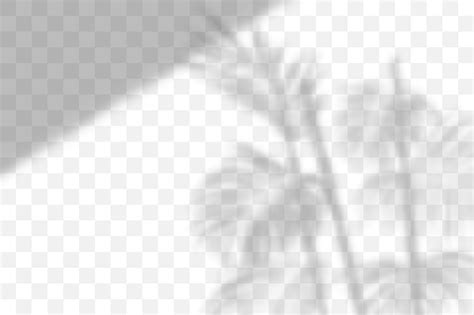 벡터 투명 천연 식물 그림자 라이트 효과 오버레이 메시 그리드 디자인 카드 포스터 스토리 사진 사실일러스트 발표 검은색에 대한 스톡 벡터 아트 및 기타 이미지 Istock