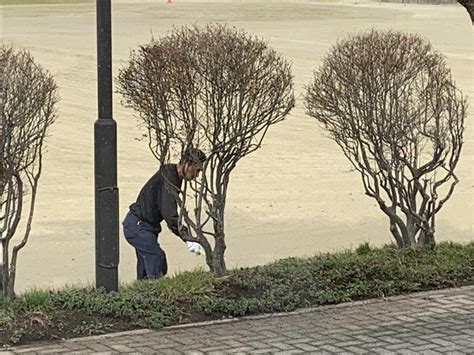 自分のやるべきことをしっかりと果たすということ｜東中学校ホームページ