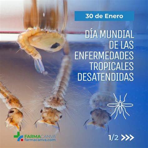 ENERO DÍA MUNDIAL DE LAS ENFERMEDADES TROPICALES DESATENDIDAS Farmacanva