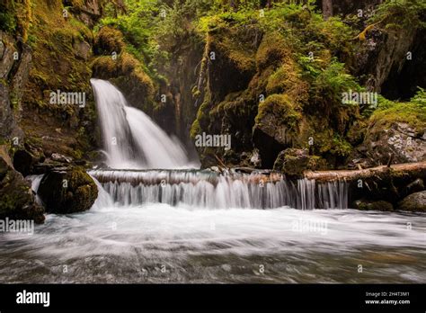 Chutes De Ruisseau Vierge Banque De Photographies Et Dimages à Haute