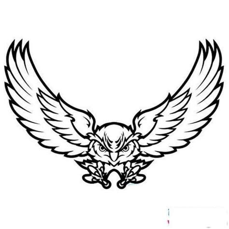 雏鹰的简笔画正面 简笔画图片大全 普车都