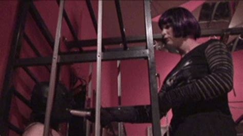 Mistress Shane Slaves Party Part 1 Windows Media Video Small File Mistress Shane