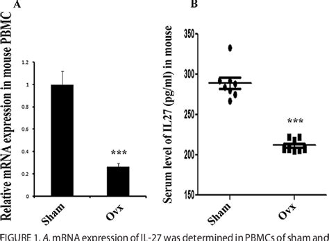 Figure 1 From Interleukin 27 Il 27 Alleviates Bone Loss In Estrogen