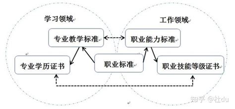 职业教育“1x”证书制度 知乎