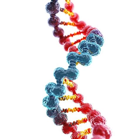 Premium Ai Image A Close Up Of A Strand Of Red And Blue Colored Dna
