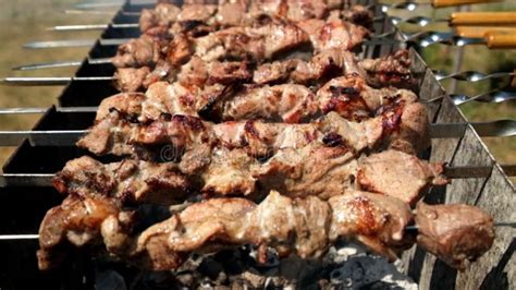 烤肉党 烹调在室外格栅的可口肉 影视素材 视频 包括有 厨房 附属程序 有机 室外 行动 膳食 55687778