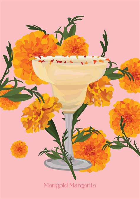 The Botanical Cocktail Deck Of Cards Thames And Hudson Australia And New