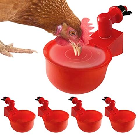 Comment Fabriquer Un Abreuvoir Pour Les Poules