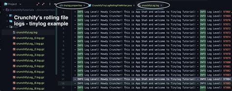 Tinylog Rolling File Writer Tutorial • Crunchify