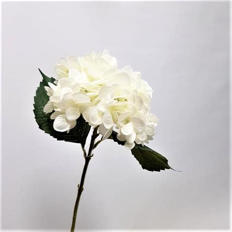 White Hydrangea 47cm Desflora