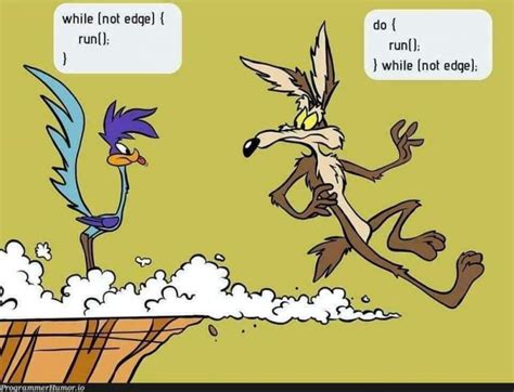 While Loop Programmerhumor Io