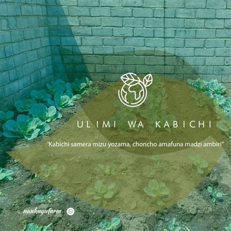 Francis Nankuyu On Linkedin Ulimi Yazangini Malawi