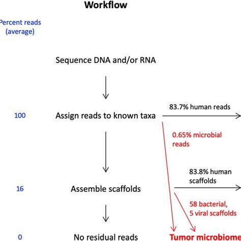 Schematic Of The Sequence Analysis Workflow Download Scientific Diagram