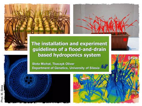 Root Phenotyping System Ppt