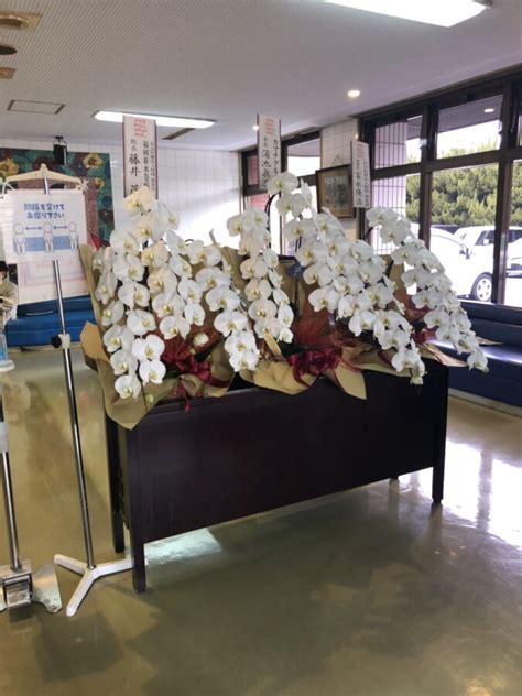 青山中央外科病院の名称が青山リハビリテーション病院へ変更となります 北九州老人ホーム紹介センター