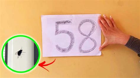 Connaissez vous lastuce du chiffre pour éloigner les mouches de la