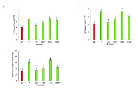 Effects Of Exogenous Sorbitol Application On Lipid Peroxidation And