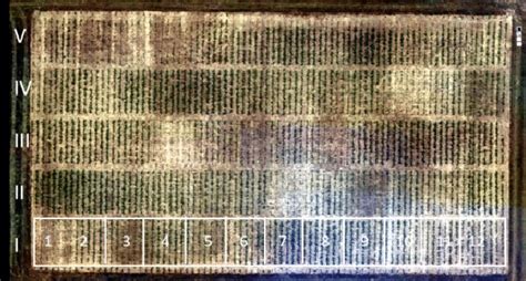 Aerial Image Of The Experiment With Indicated Plot X Axis And Block Download Scientific