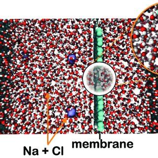 Schematic Of The Computational Setup Salt Water NaCl And Pure Water