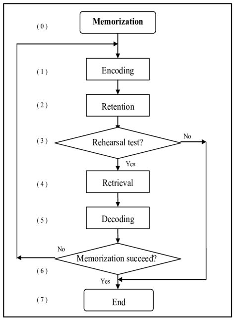 The Cognitive Process Of Memorization Download Scientific Diagram