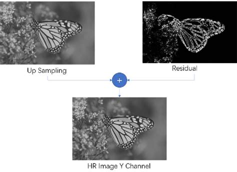 sesr single image super resolution with recursive squeeze and