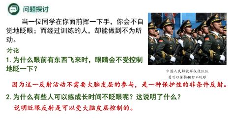 1 1低级神经中枢和高级神经中枢相互联系、相互协调（教学课件） 共33张ppt 高中生物苏教版选择性必修1 21世纪教育网 二一教育
