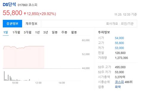 Ds단석 주가 전망