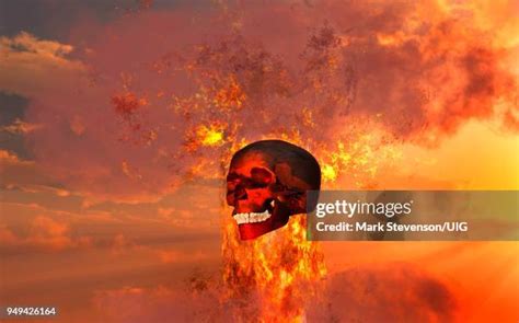 Exploded Skull Photos And Premium High Res Pictures Getty Images