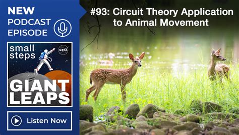 Circuit Theory Appel Knowledge Services