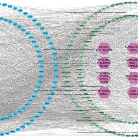 Drug Component Target Disease Interaction Network Diagram Purple Download Scientific Diagram