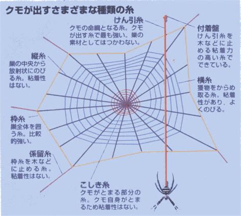 슈퍼 섬유 인공 거미줄 실용화 네이버 블로그