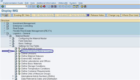 SAP MM How To Maintain External Material Groups In SAP SapGyan