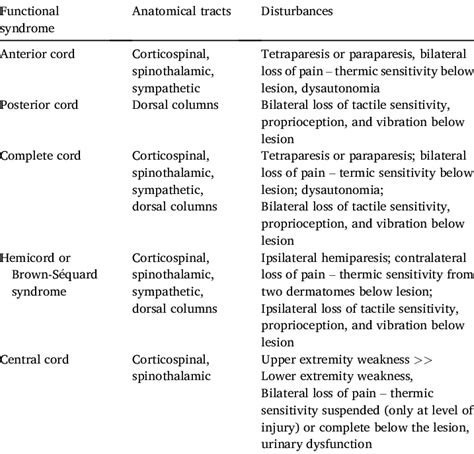 The Main Neurological Findings In The Vascular Spinal Cord Lesions