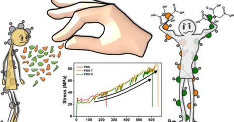 Stronger Biodegradable Plastics By Adding Tartaric Or Citric Acid