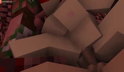 Group Sex In Minecraft