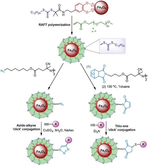 Synthesis And Modification Of Polymer Brush Grafted Magnetic