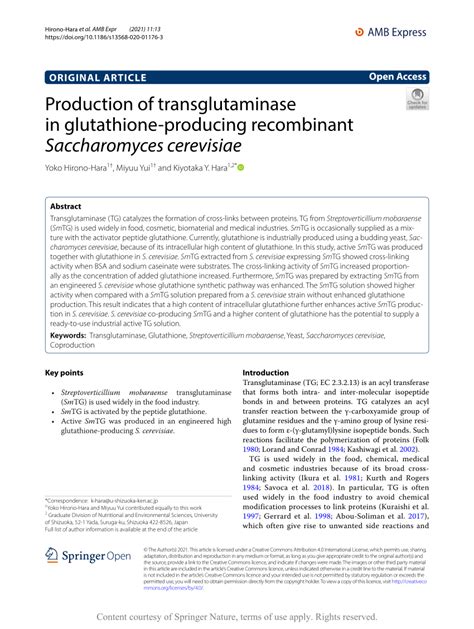 Pdf Production Of Transglutaminase In Glutathione Producing Recombinant Saccharomyces Cerevisiae