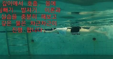 김민지 고수의 수영 레슨 서비스 서울특별시 송파구 숨고 숨은고수