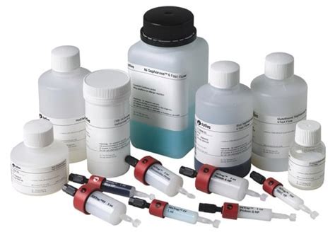 Sepharose 4b Sigma Aldrich