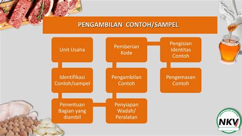 Distribusi Contoh Pengambilan Contoh Ppc Cinagara November 2024 Pdf