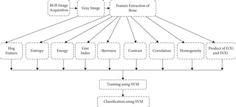 Feature Extraction Model Of Cancerous Detection Download Scientific