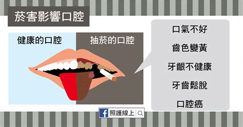史上最強殺手 香菸（懶人包） 照護線上