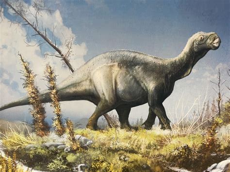 The Art Collection From My 2021 Mark Witton Paleo Art Calendar R